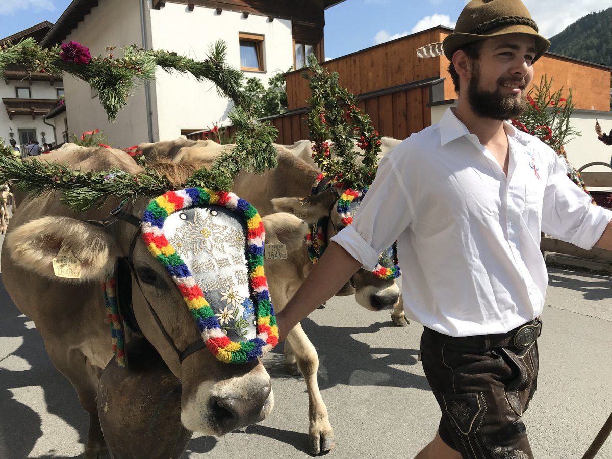 Almabtrieb im Stubaital | Stubai Blog - Stubaital Tirol